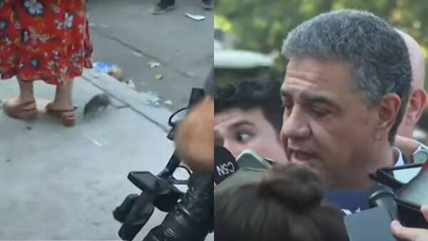 Ratón provocó pánico en conferencia de prensa, lo agarraron a patadas y ...